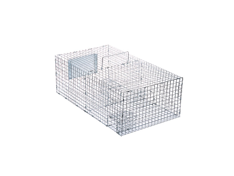 Bird Traps | Barrettine Environmental Health