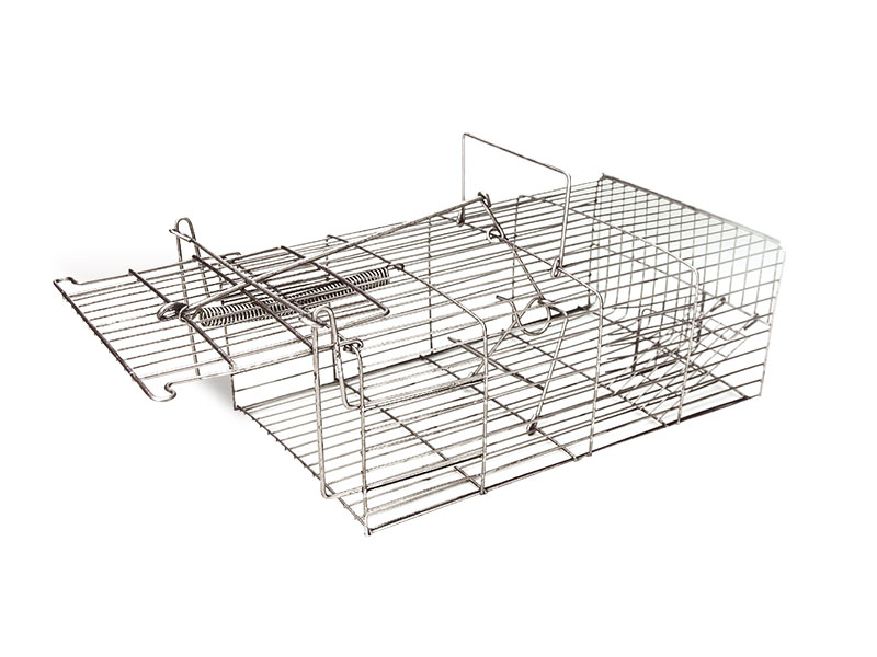 Rodent Traps | Barrettine Environmental Health