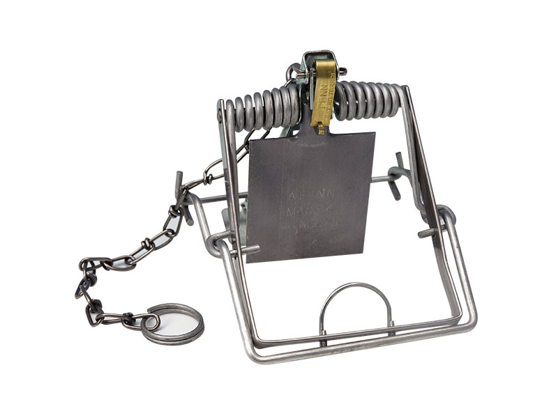 Rodent Traps | Barrettine Environmental Health